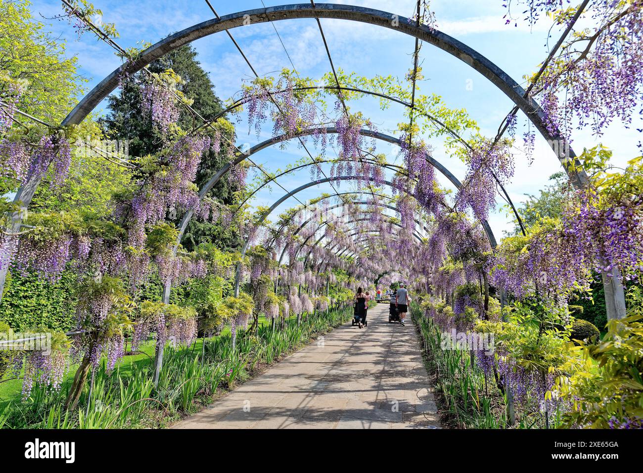Visitors enjoying an early sunny summers day at the RHS, Royal ...