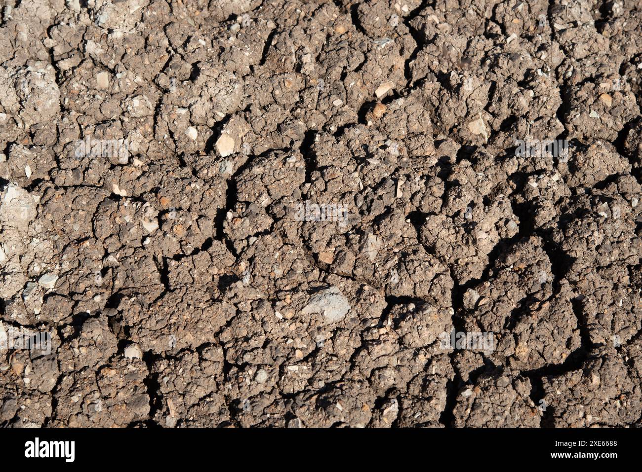 Dry cracked ground background. Concept image of global warming Stock ...