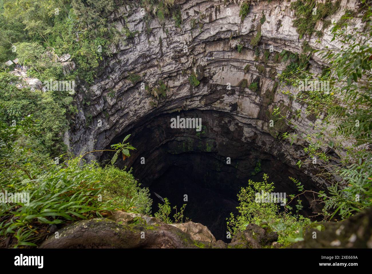 Cave of Swallows in San Luis Potosi, Mexico Stock Photo - Alamy