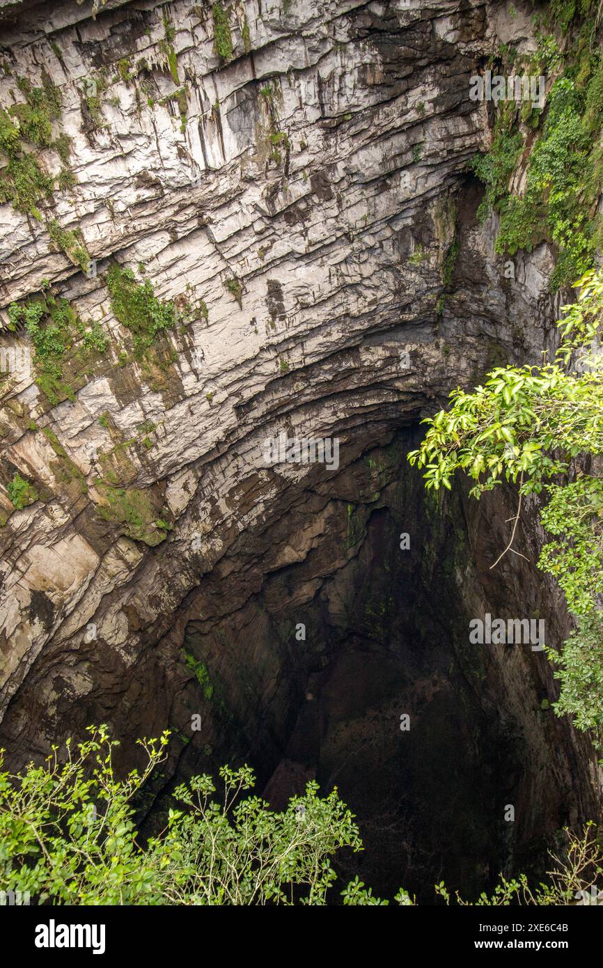 Cave of Swallows in San Luis Potosi, Mexico Stock Photo - Alamy