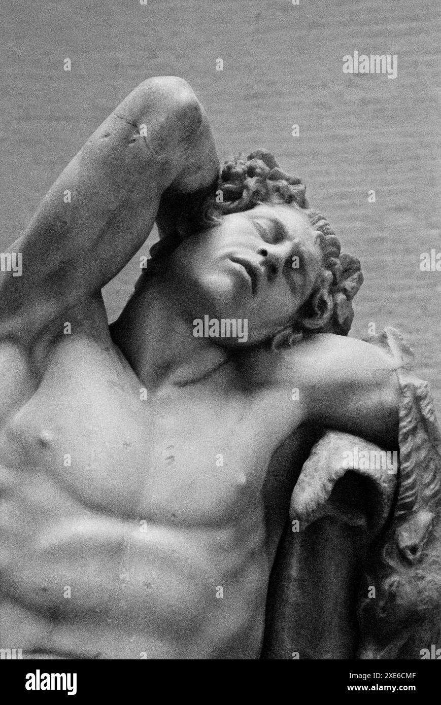 Faun barberini hi-res stock photography and images - Alamy