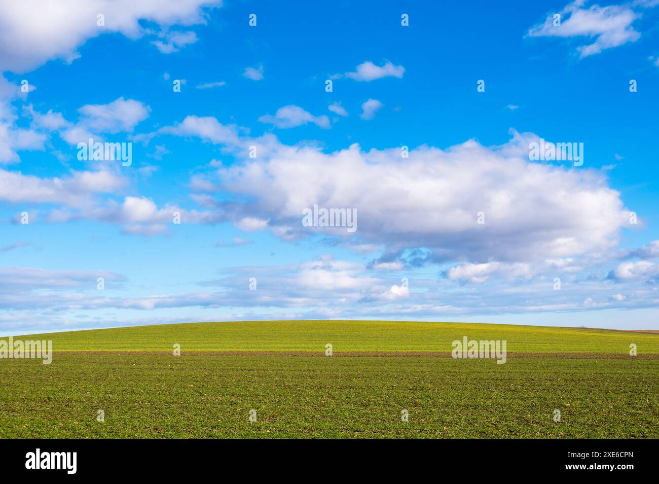 Beautiful green light blue hi-res stock photography and images - Alamy