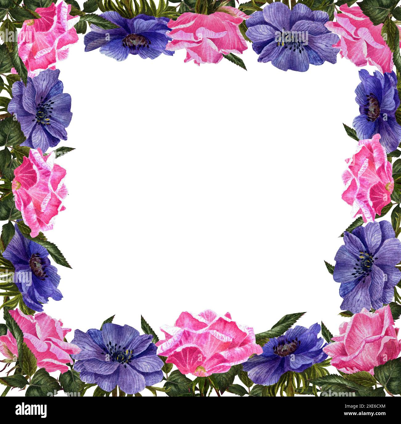 Beautiful square frame of pink roses and anemones. A watercolor flowers ...