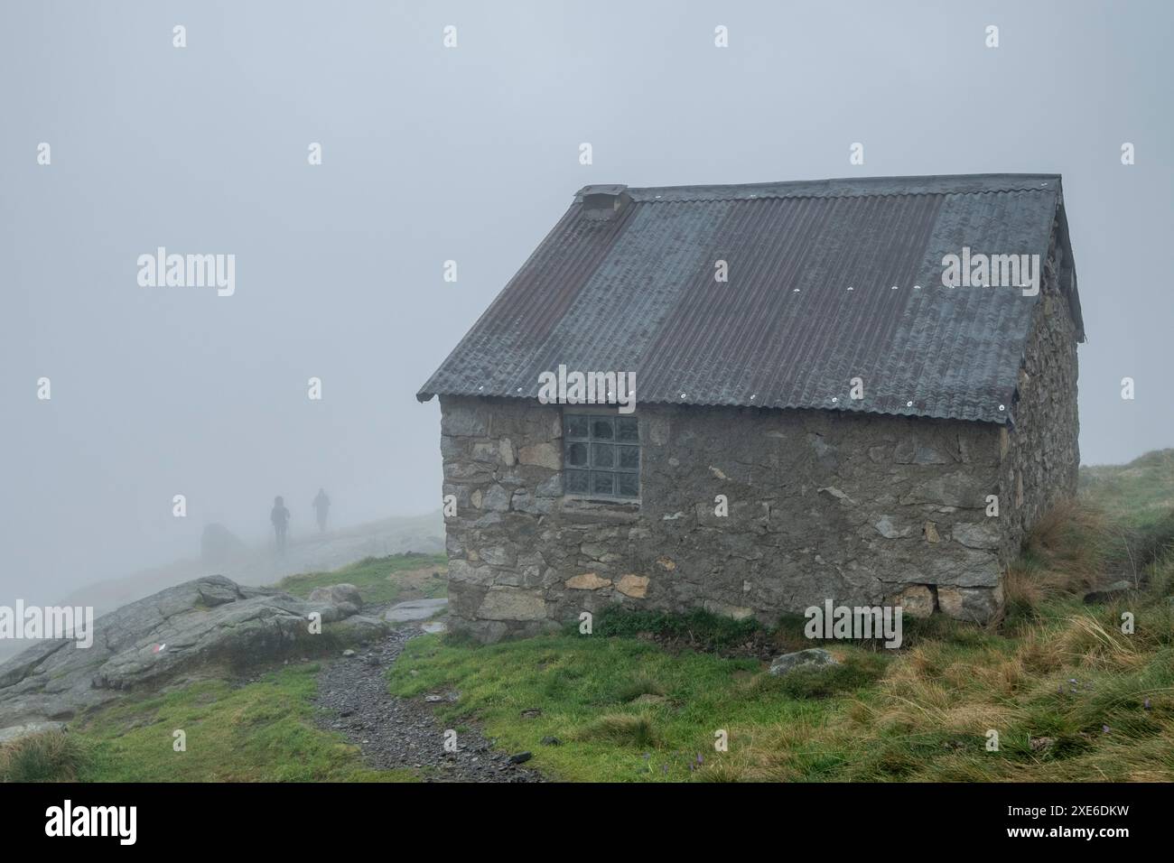 Medio ambiente a hi-res stock photography and images - Alamy