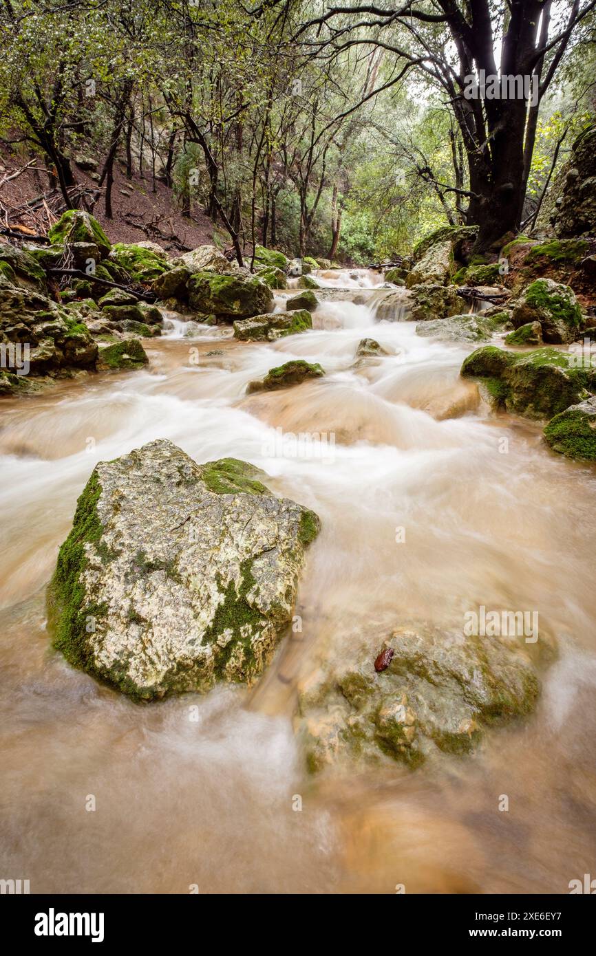 Ecosistema fluvial hi-res stock photography and images - Alamy