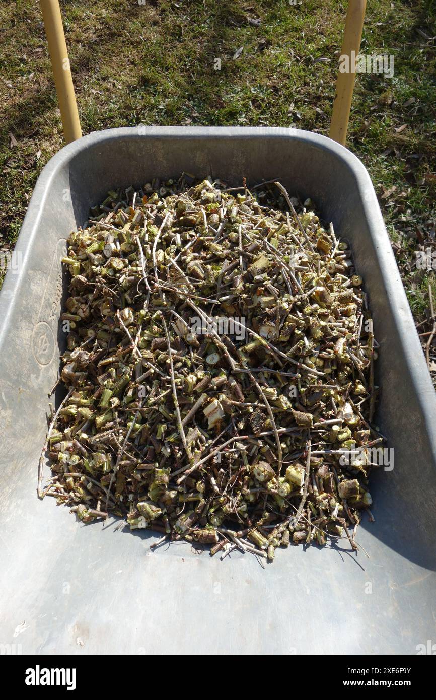 Chaff wood hi-res stock photography and images - Alamy