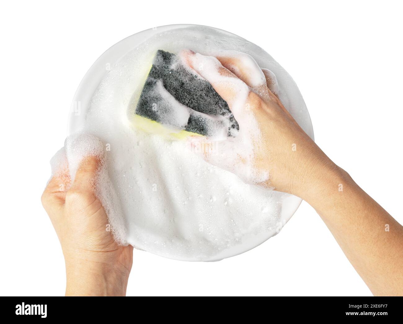 Hand holding plate with cleaning sponge with soap foam Stock Photo - Alamy