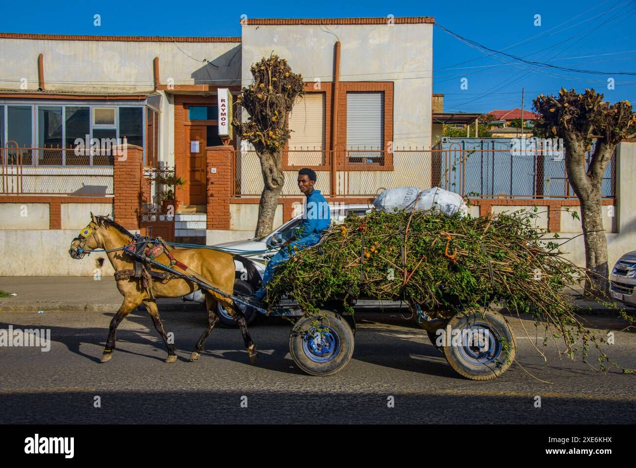 Horse cart in the streets of Asmara, Eritrea, Africa Copyright ...