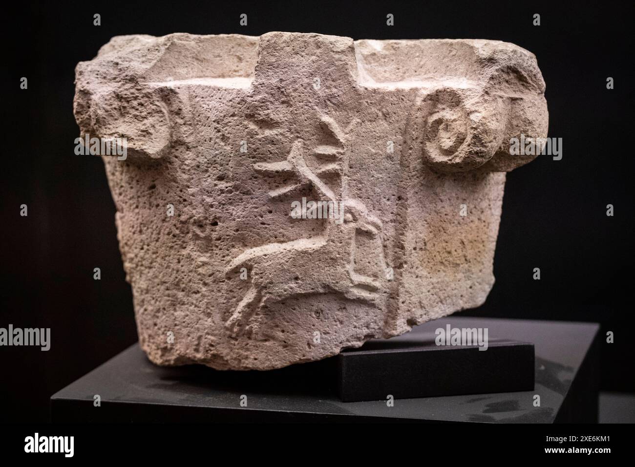 Ciervo art hi-res stock photography and images - Alamy