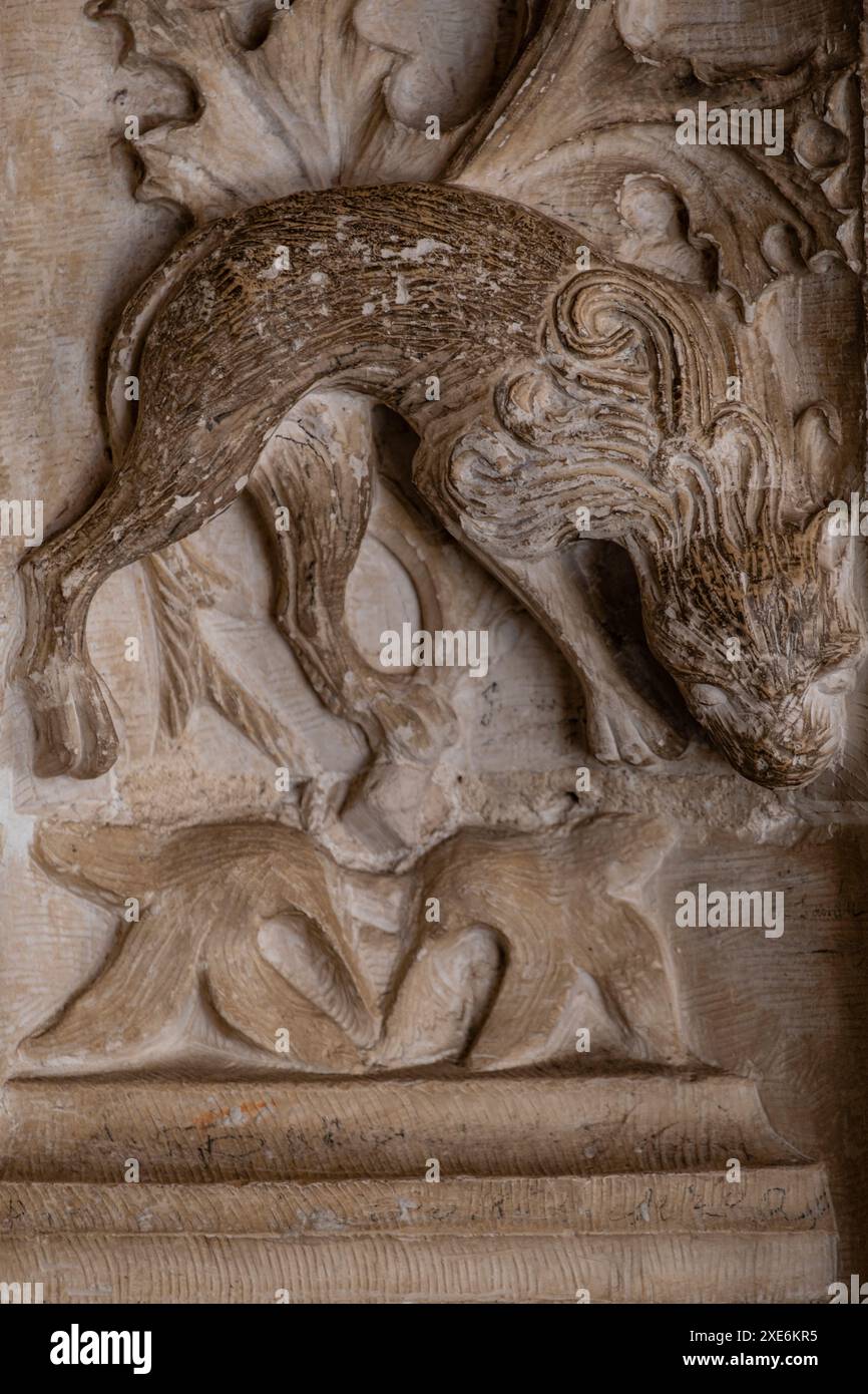 Lobo lobo hi-res stock photography and images - Alamy