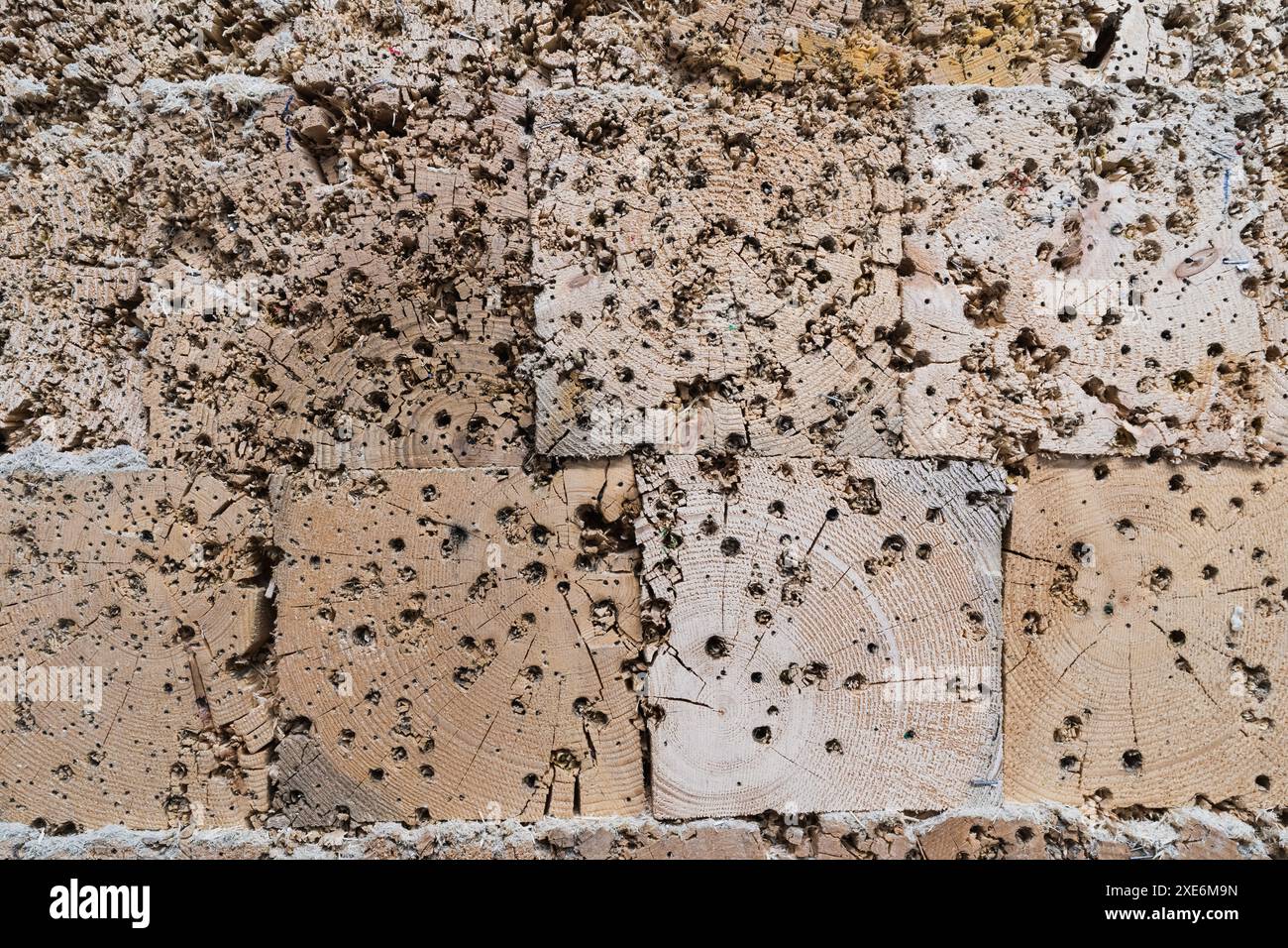 Photo background texture, wooden wall Bullet trap with bullet holes in ...