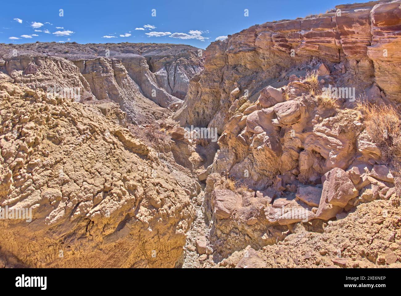 A deep canyon eroded thru the hills of purple and gray bentonite clay ...