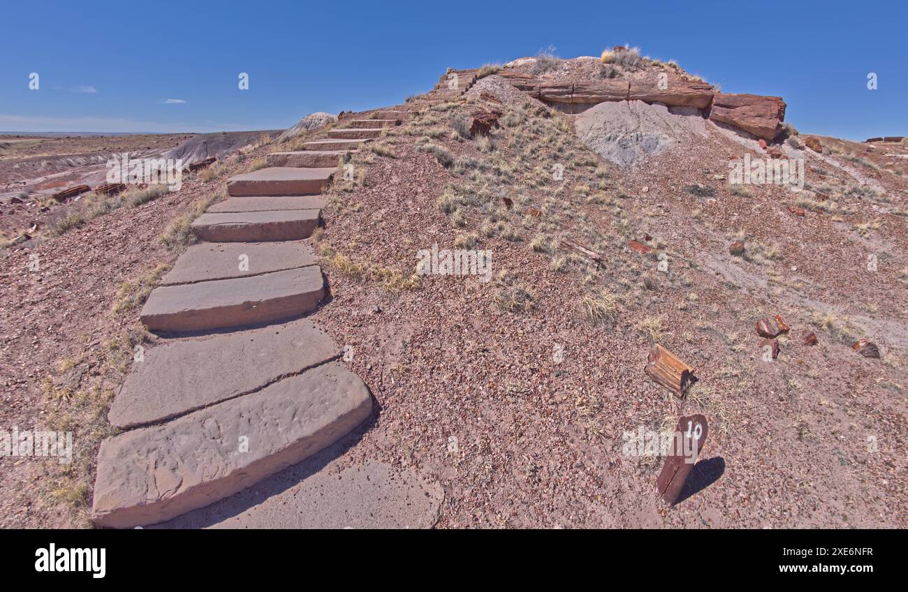 Steps along the Giant Logs Trail leading to a scenic overlook in ...