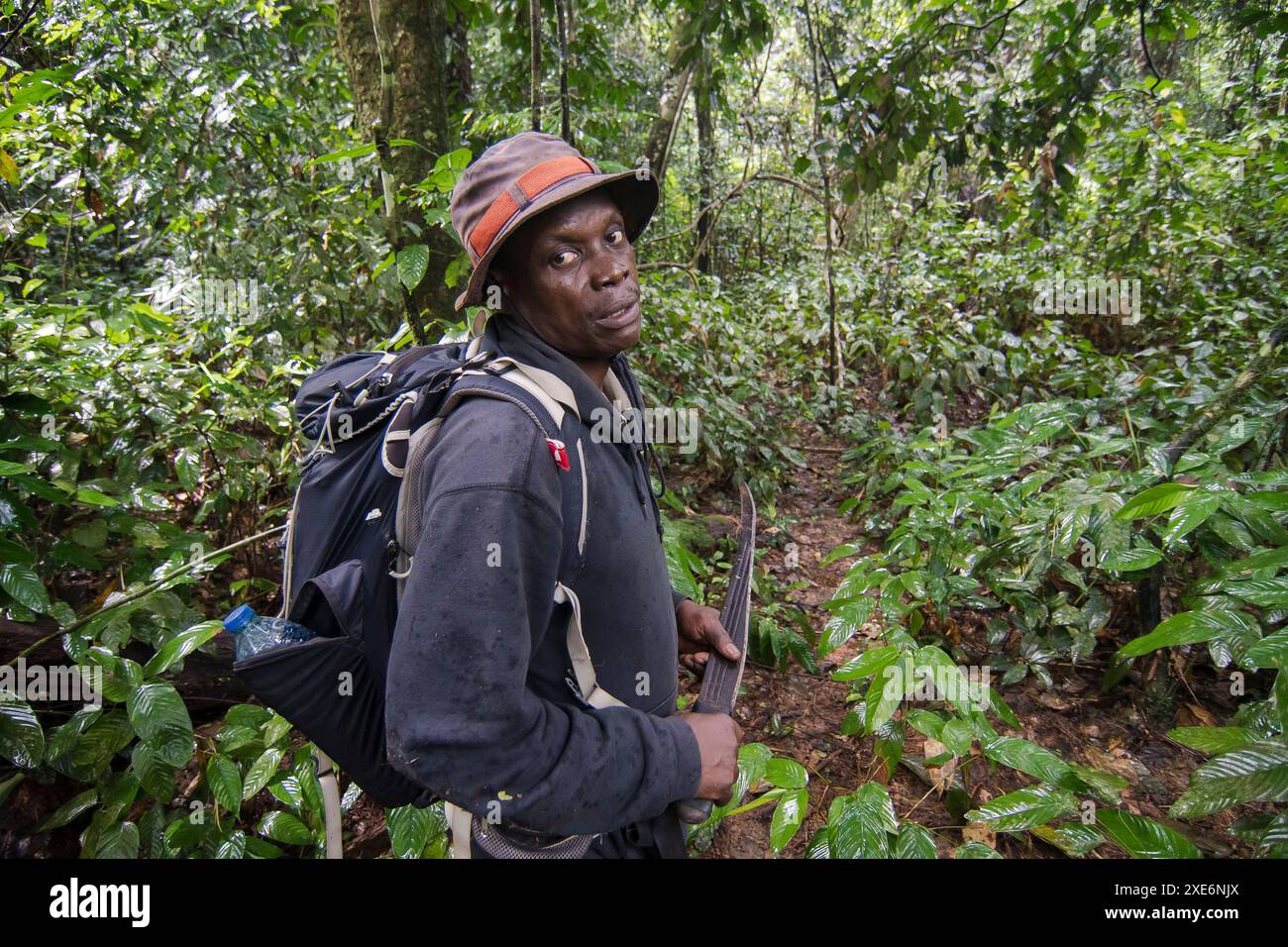 Rainforest ranger hi-res stock photography and images - Alamy