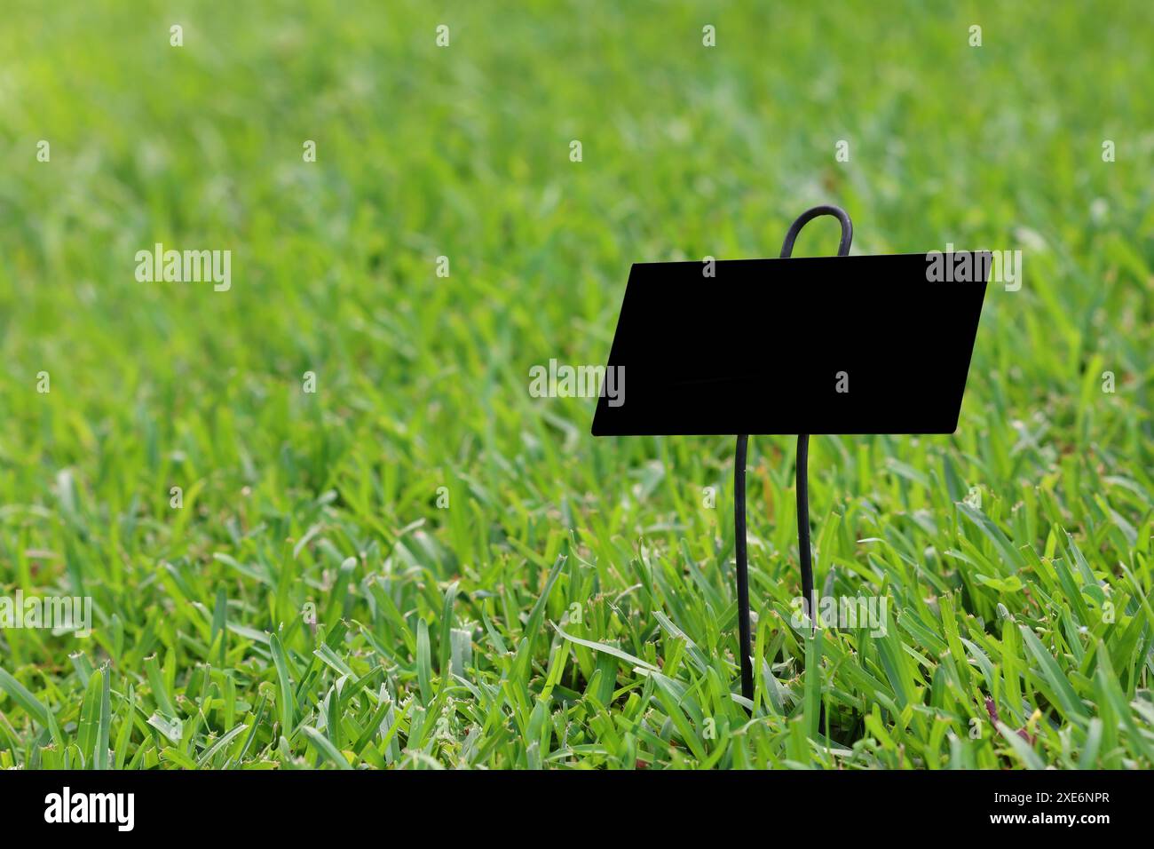 Lawn and signboard Stock Photo - Alamy