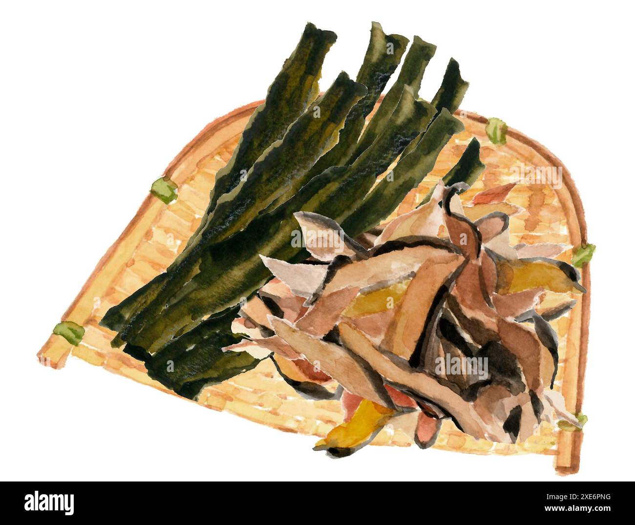 Illustration of kelp and shavings in a colander painted with ...