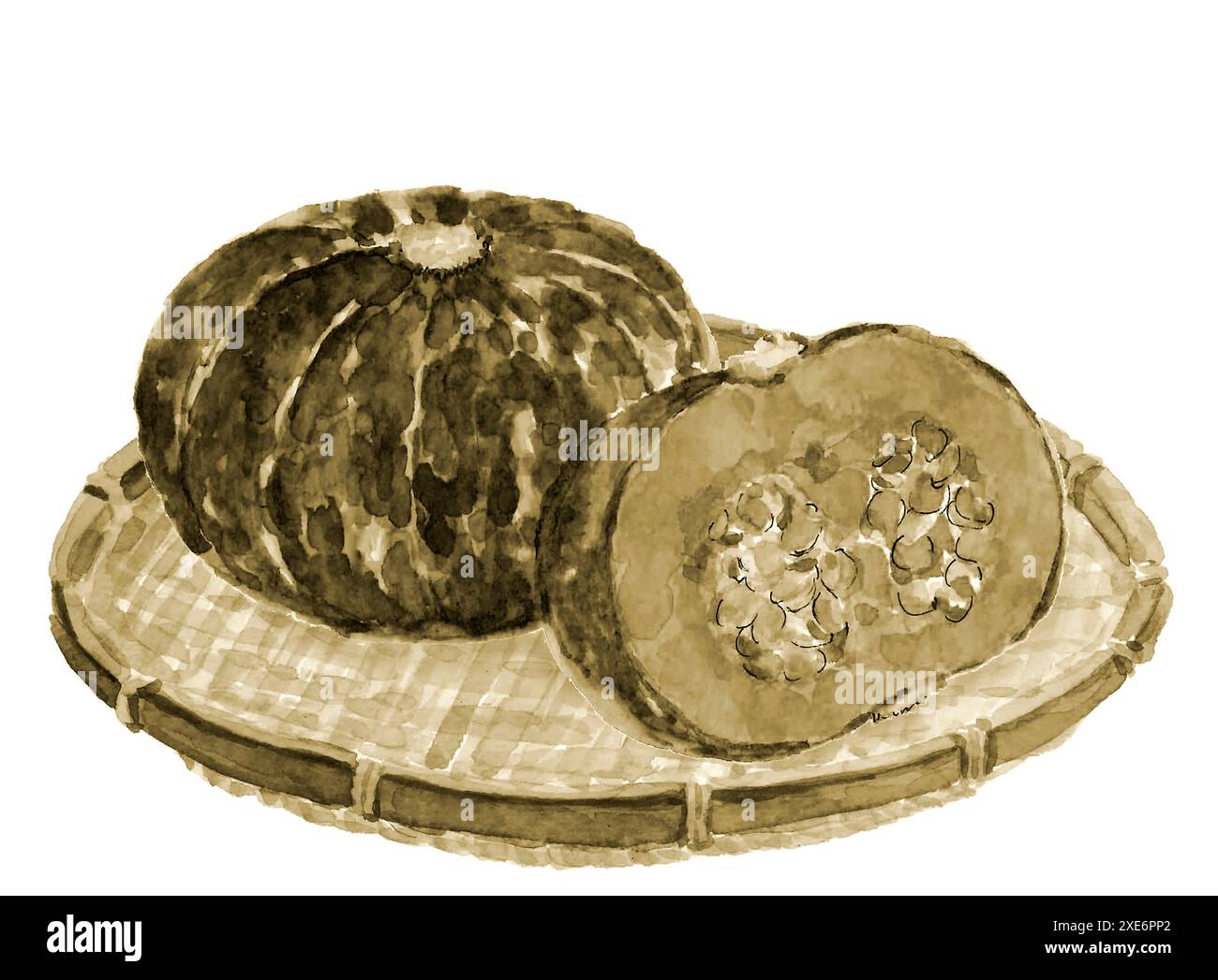Watercolour illustration of pumpkins in a colander Sepia tone white ...