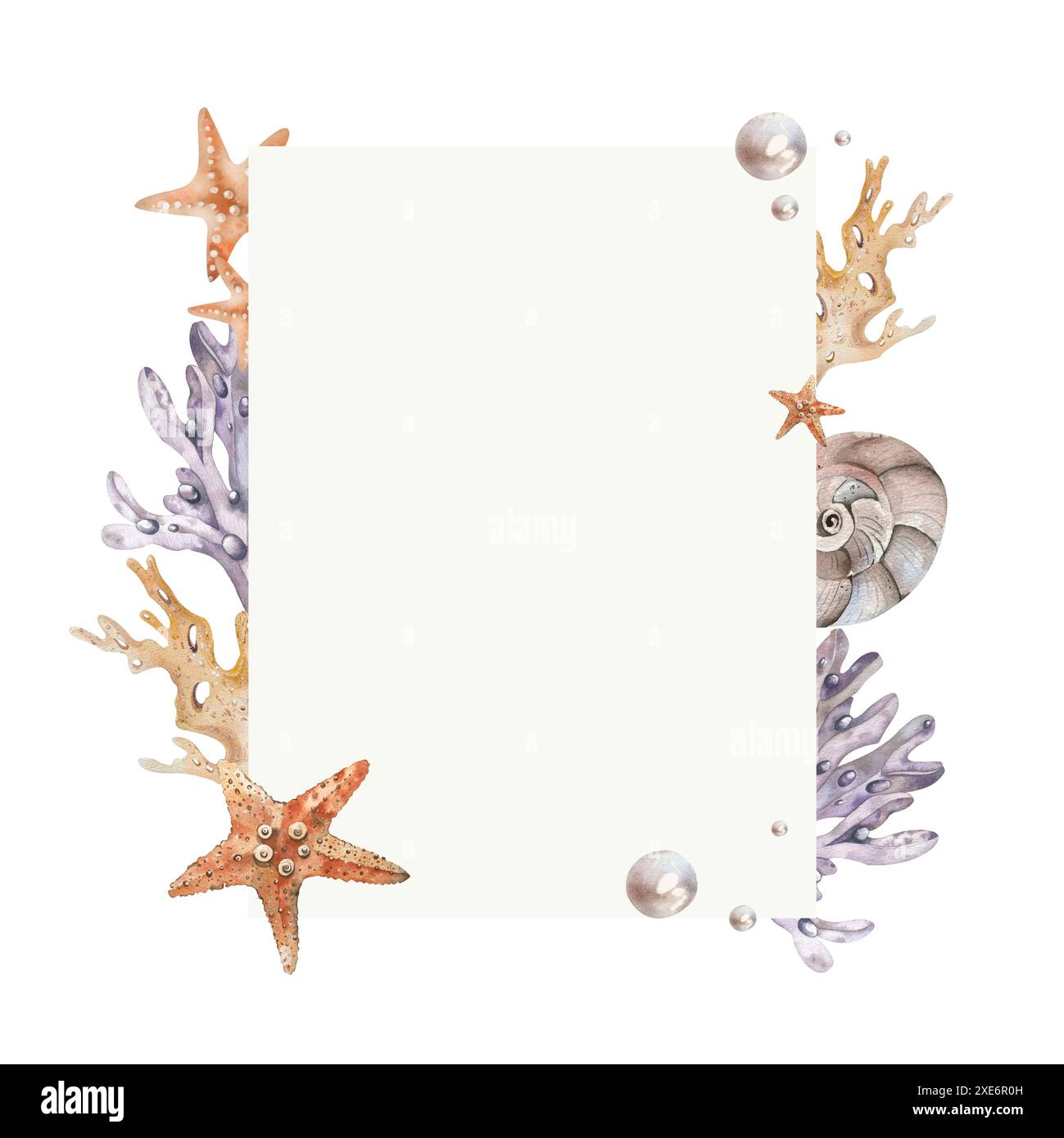 Frame. Marine theme. Algae, Starfish, Various Shells, Bubbles, Pearls ...