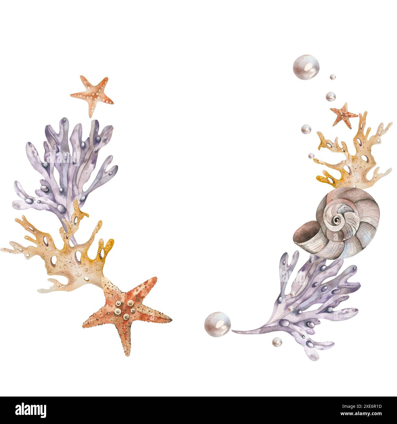 Frame. Marine theme. Algae, Starfish, Various Shells, Bubbles, Pearls ...