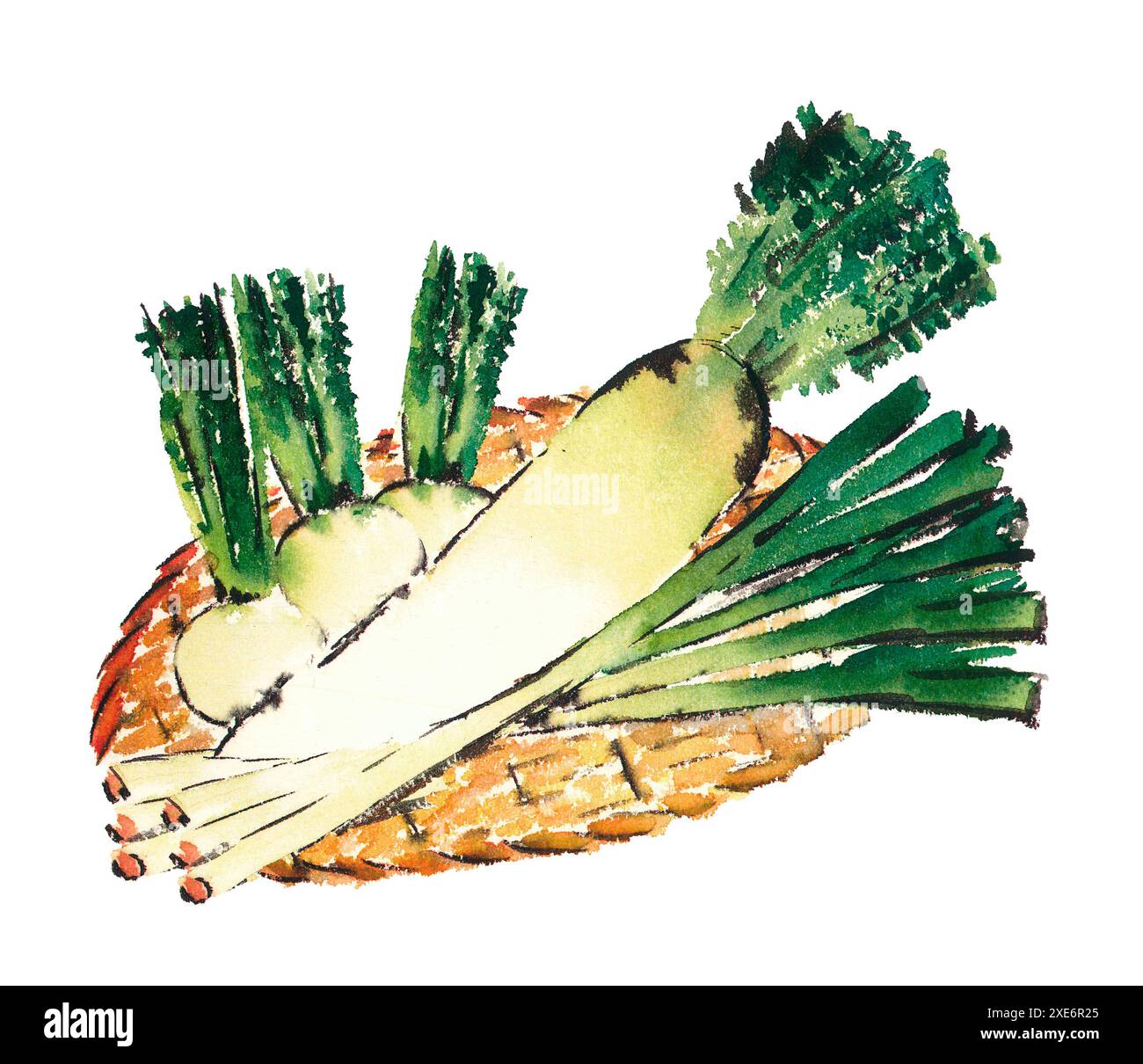 Illustration of a set of root vegetables in a colander [hand-drawn ...