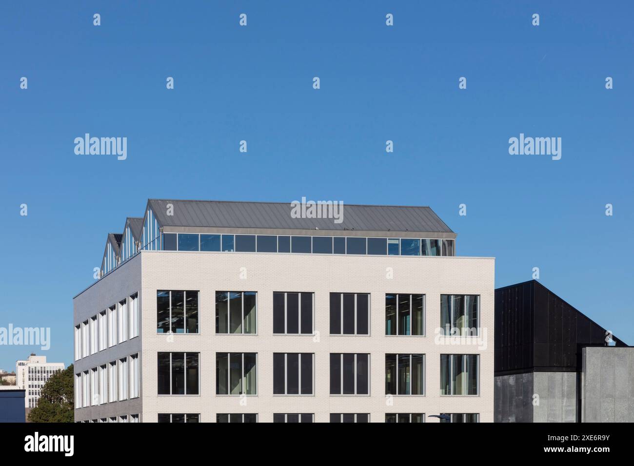 Office section of the development, bathed in sunlight. Circus Street ...