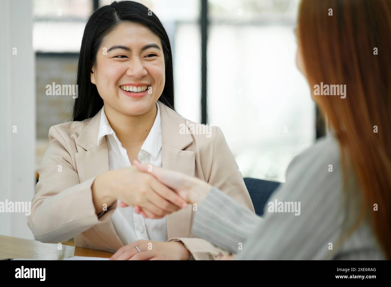 Businesswomen Handshake Sealing a Successful Deal Stock Photo - Alamy