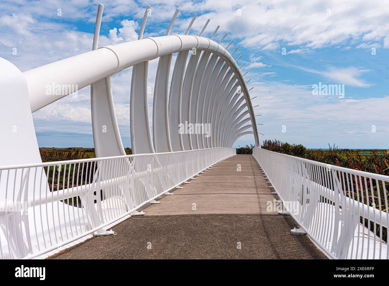 Unique architecture of Te Rewa Rewa Bridge in New Plymouth, North Island, New Zealand, Pacific ...