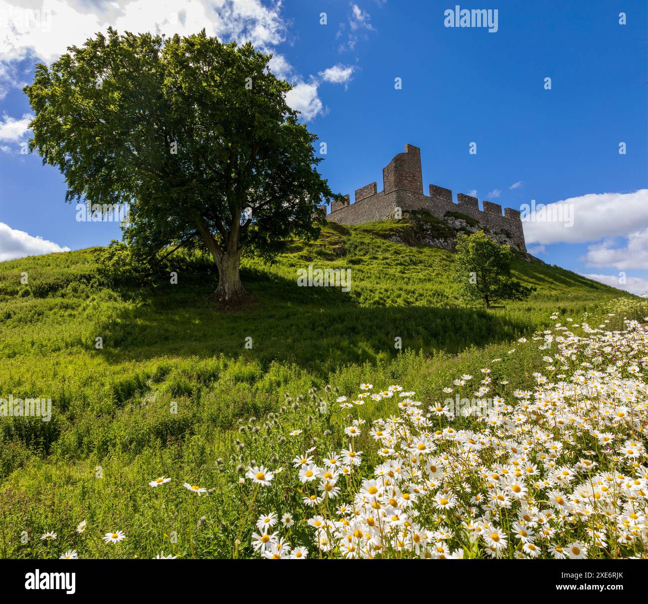 Hume Castle near Kelso in the Scottish Borders Stock Photo - Alamy
