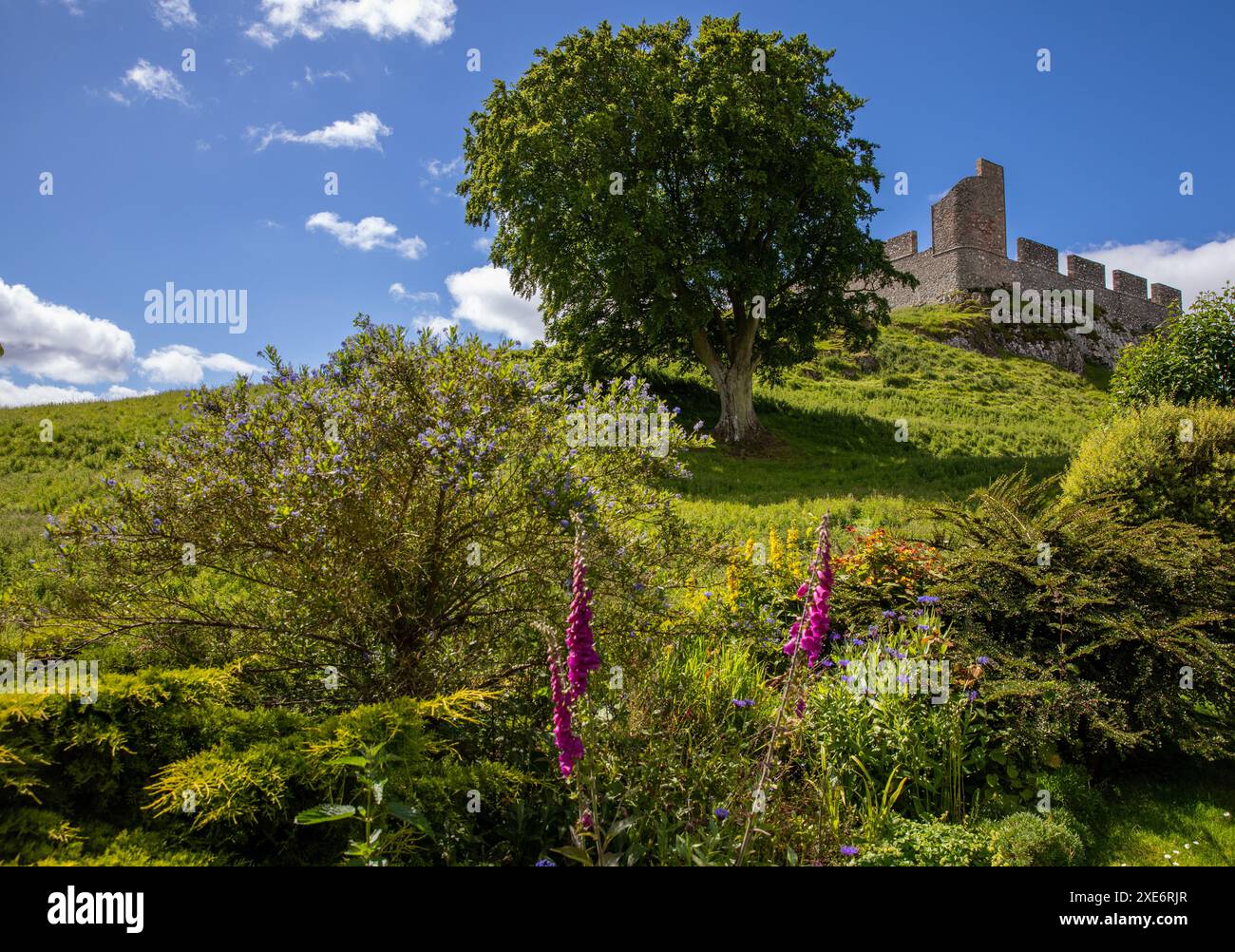 Hume Castle near Kelso in the Scottish Borders Stock Photo - Alamy