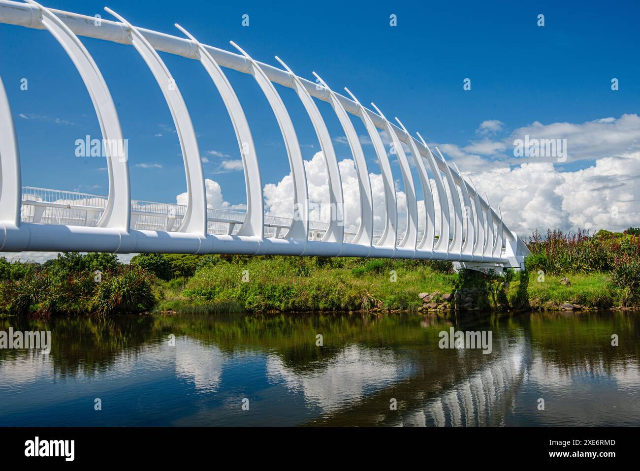 River and unique architecture of Te Rewa Rewa Bridge in New Plymouth ...