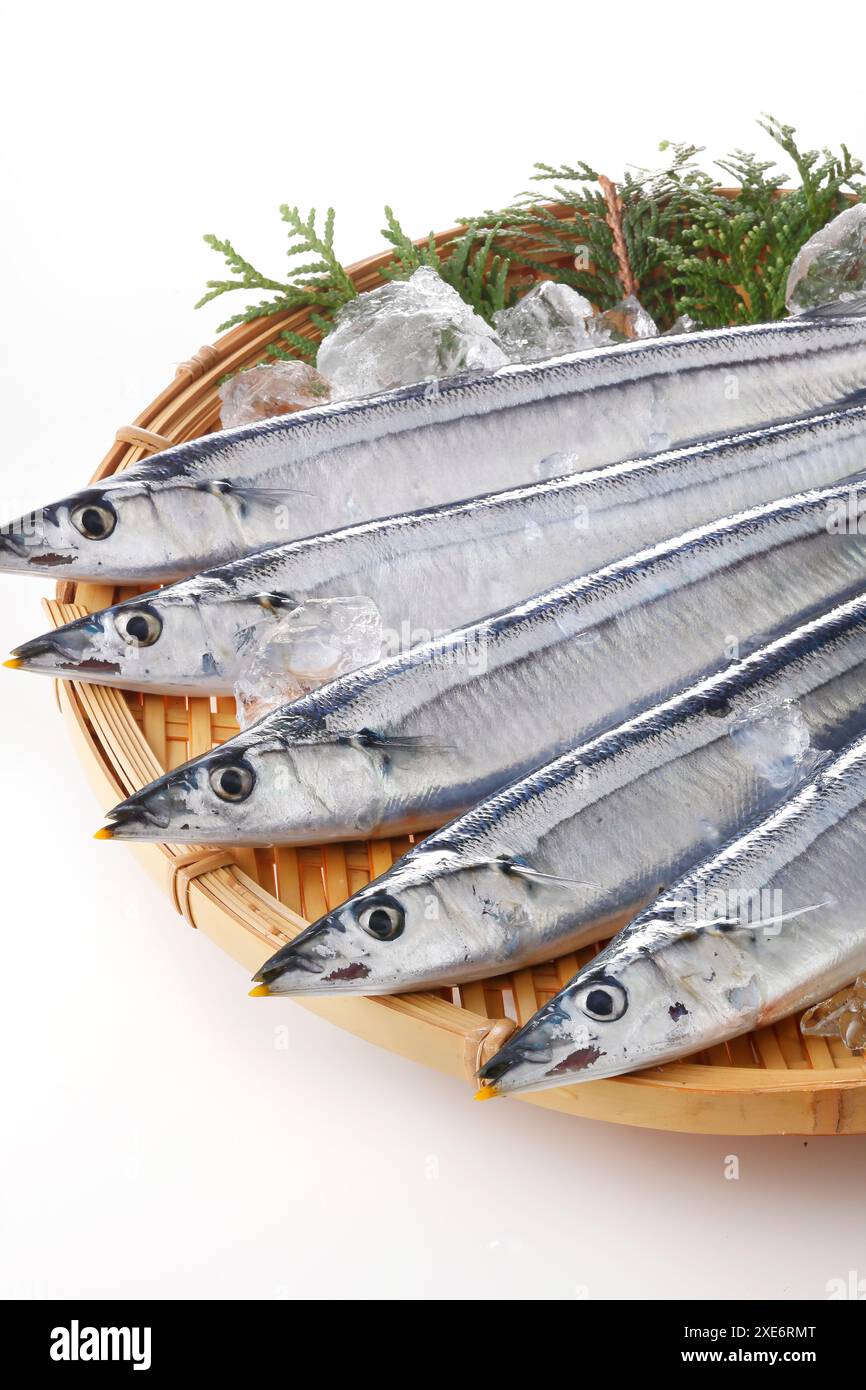Sanma ( pacific saury) on a colander Stock Photo - Alamy
