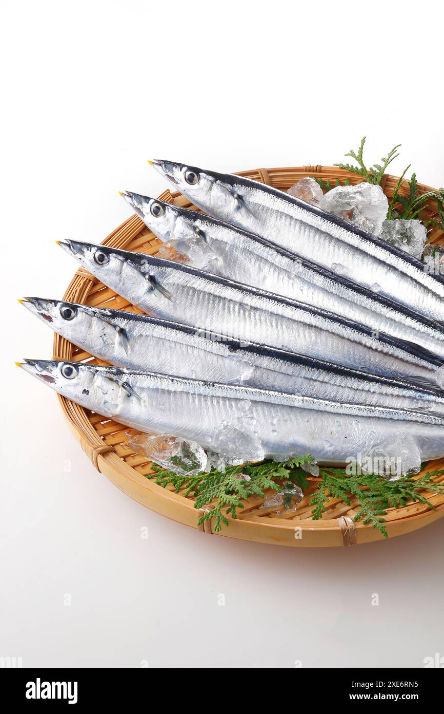 Asian pacific fish hi-res stock photography and images - Alamy
