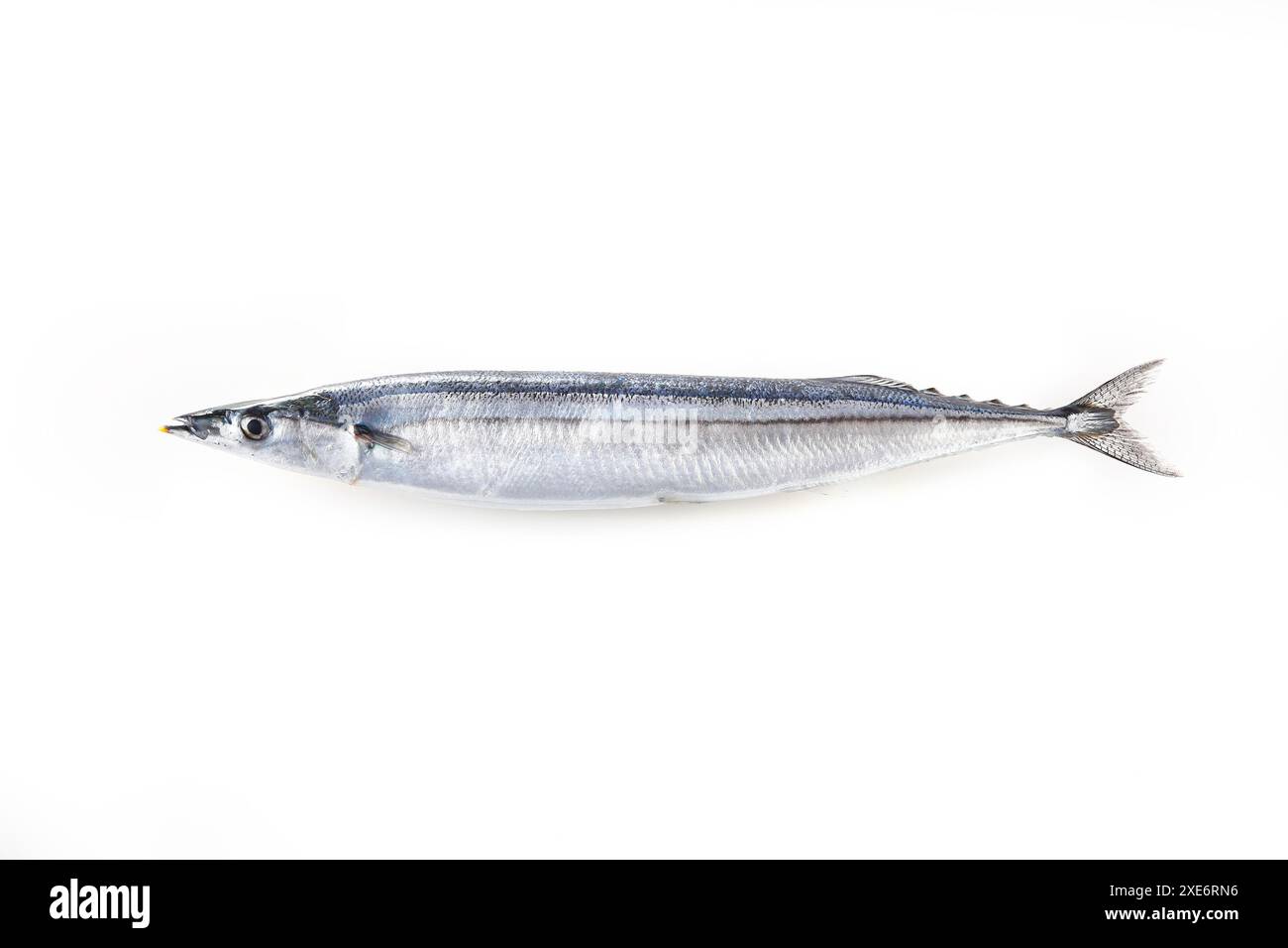 Asian pacific fishing industry hi-res stock photography and images - Alamy