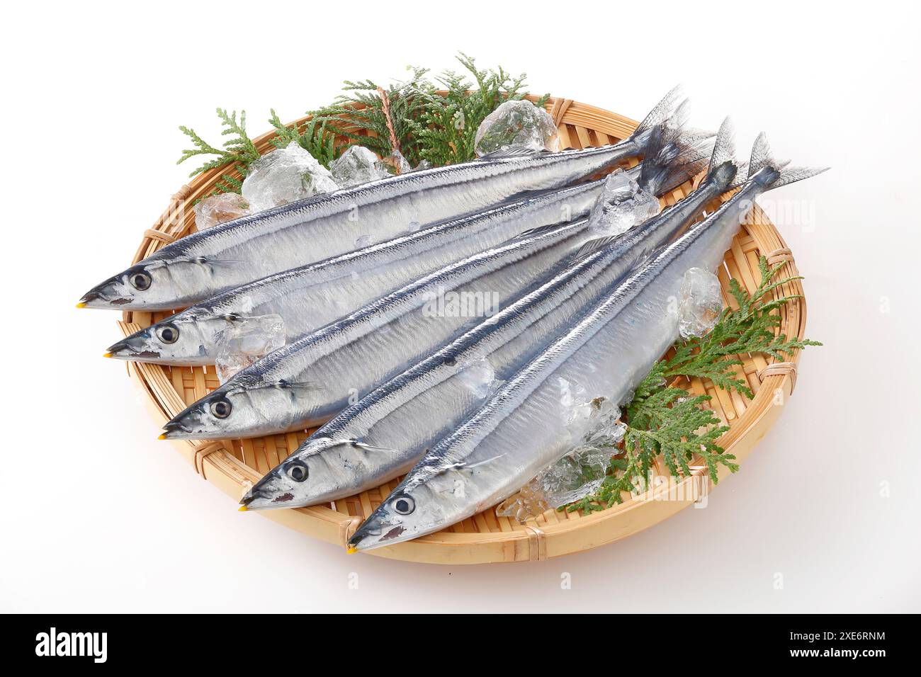 Sea colander hi-res stock photography and images - Alamy