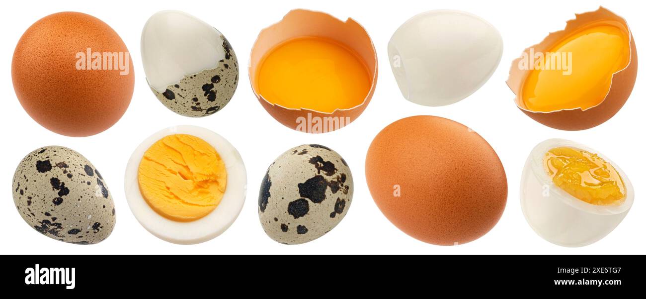 Eggs collection isolated on white background Stock Photo - Alamy