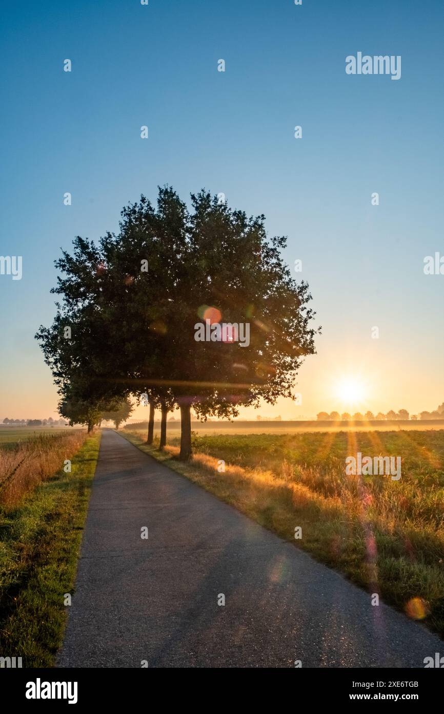 Sunrise lens flare over field hi-res stock photography and images - Alamy