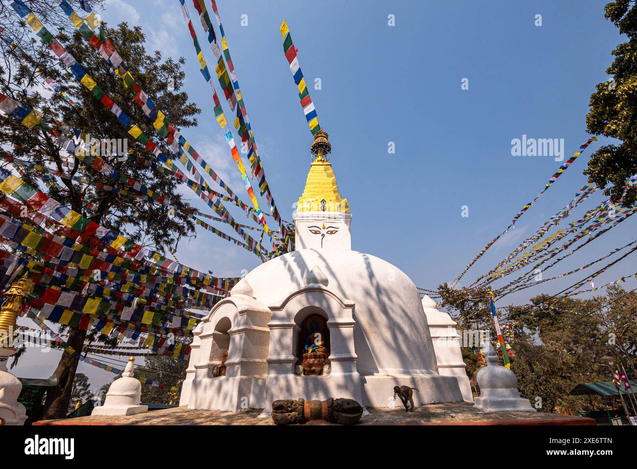 Small white stupa with golden top and face under a forest of colourful ...