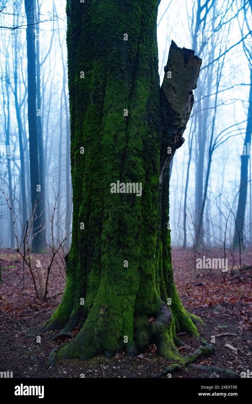 Dust fog hi-res stock photography and images - Alamy