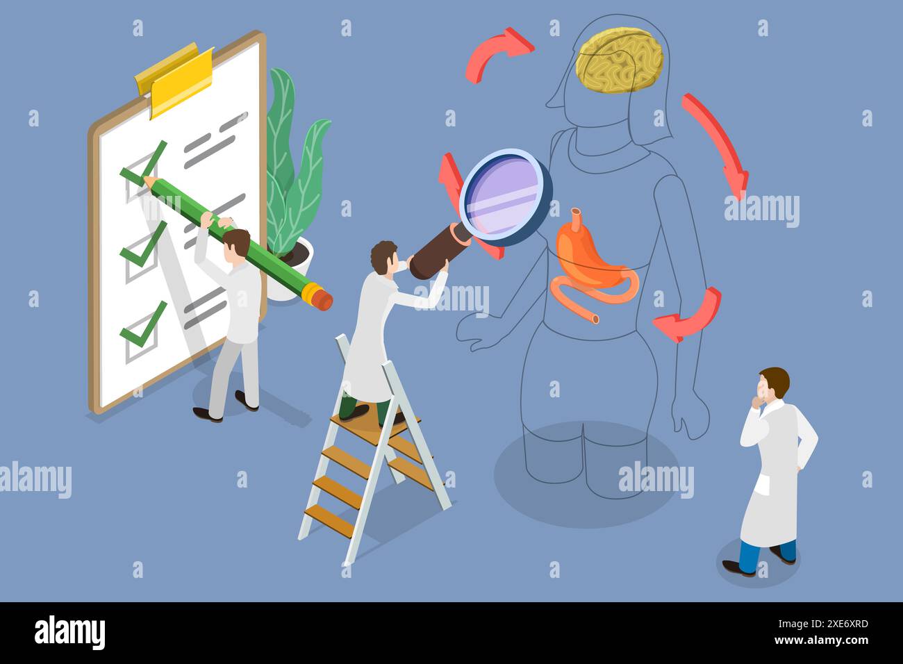 Human gut anatomy hi-res stock photography and images - Alamy