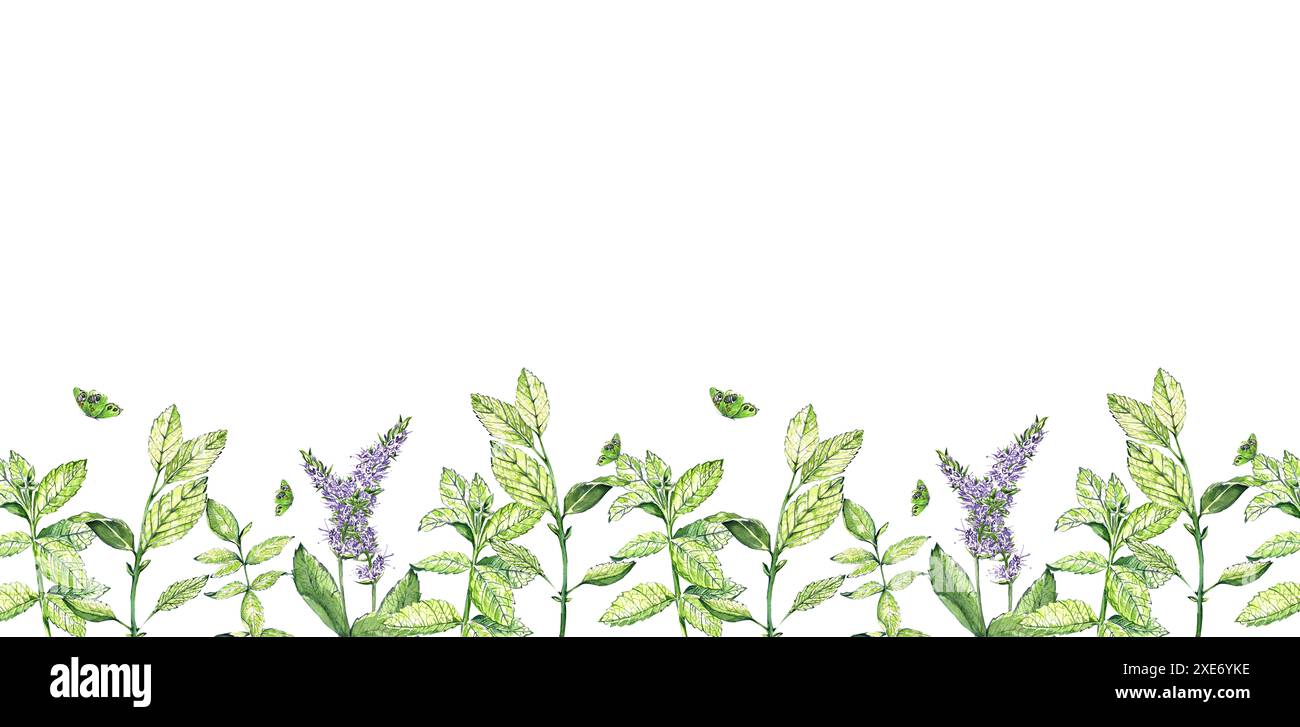 Seamless Banner Theme Herbal Tea. Sprigs Green Fresh Mint with Leaves ...