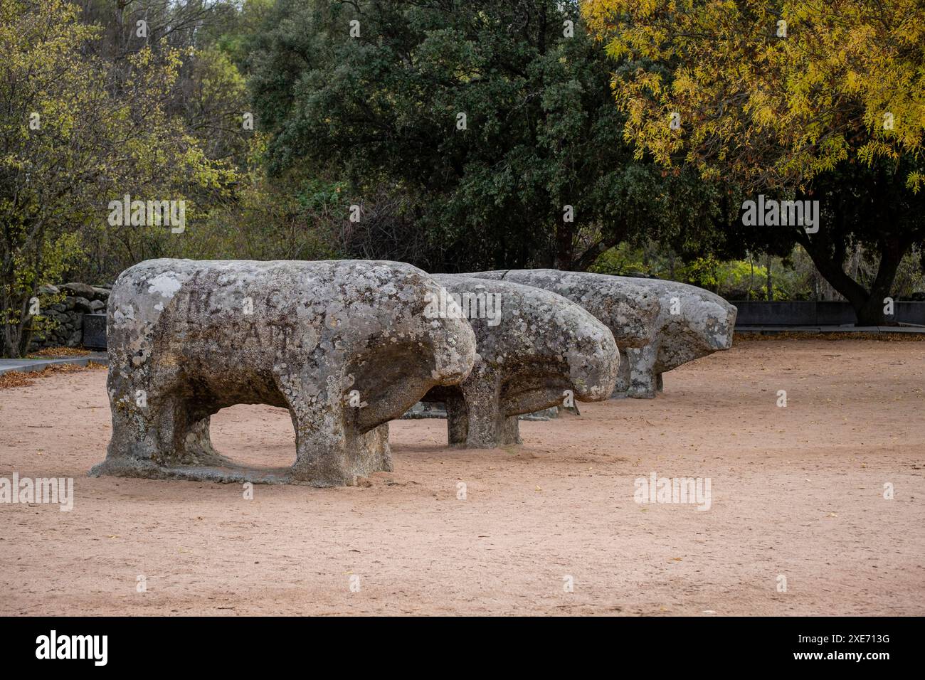 Bulls guisando hi-res stock photography and images - Alamy
