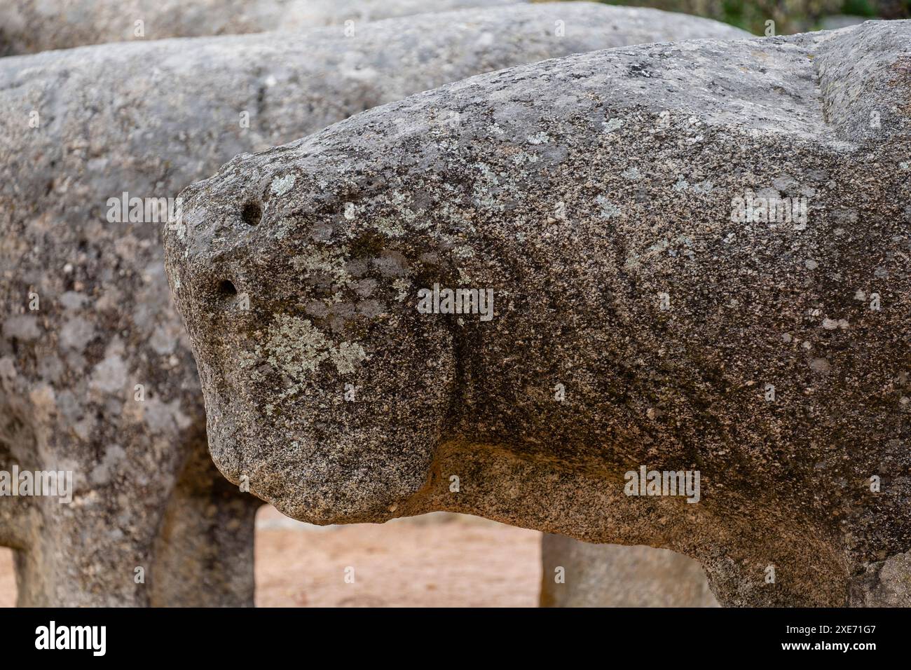Humanities and fine arts hi-res stock photography and images - Alamy