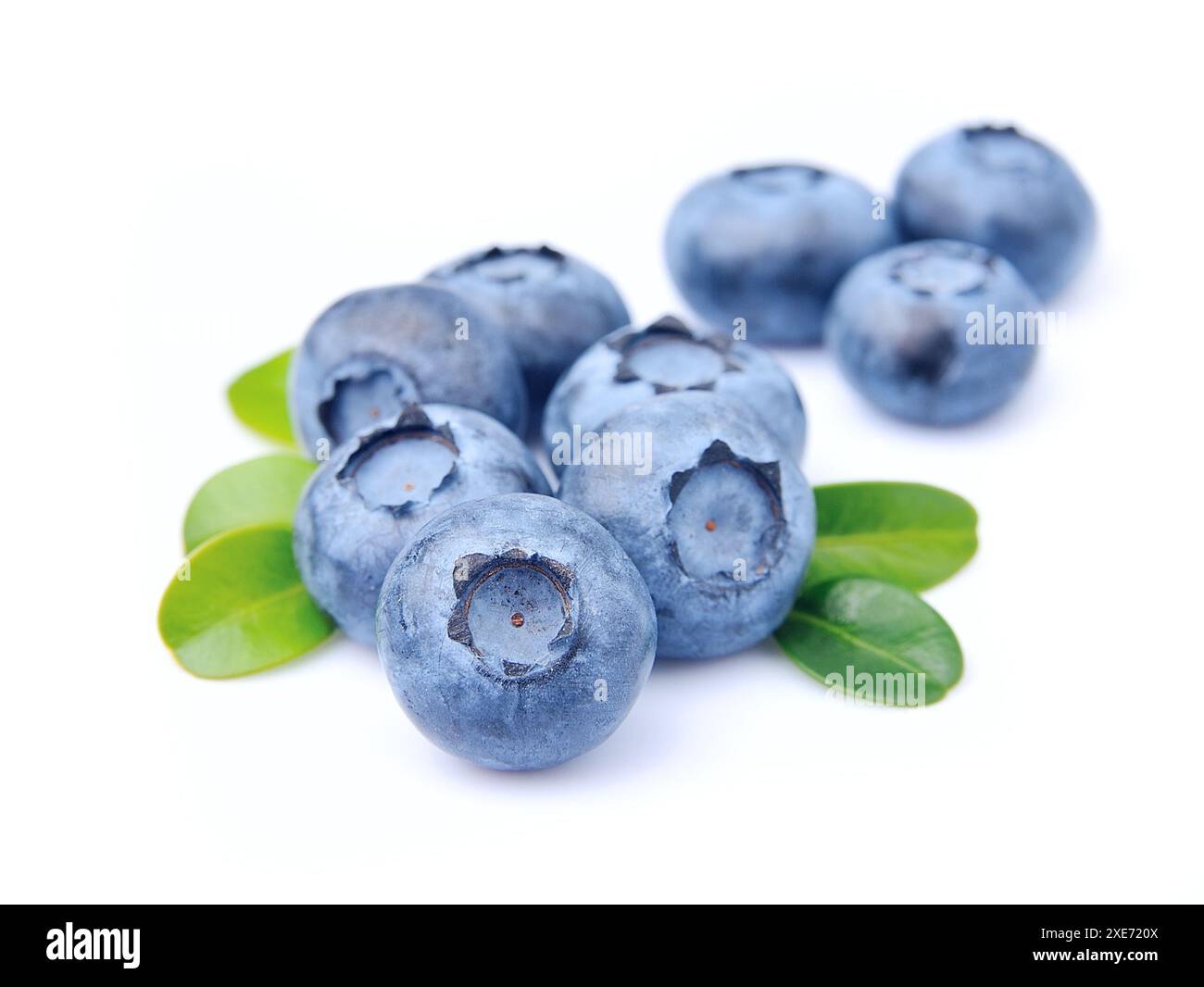 Group blueberry blueberries fruit Cut Out Stock Images & Pictures - Alamy