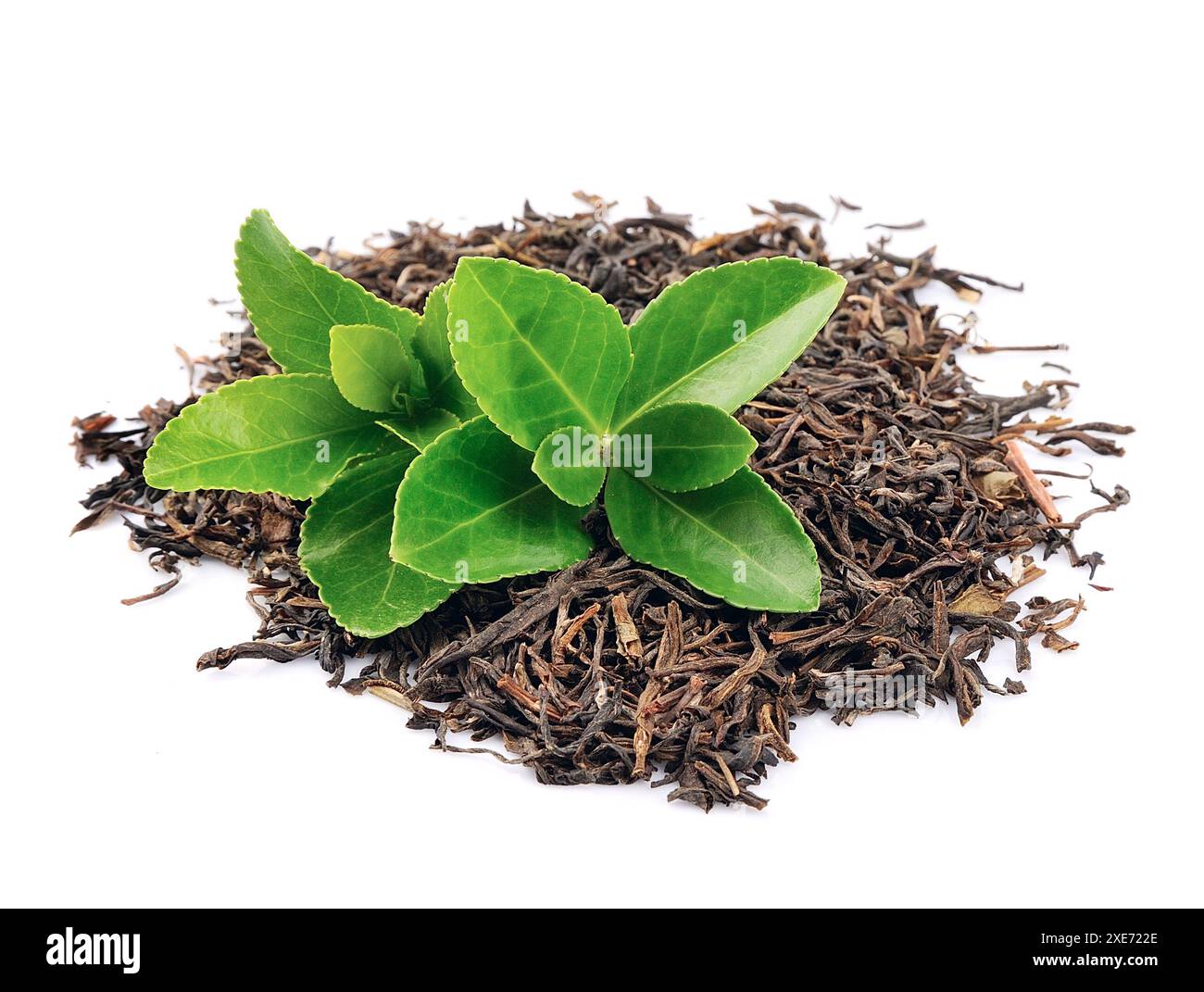 Afternoon tea ingredient hi-res stock photography and images - Alamy