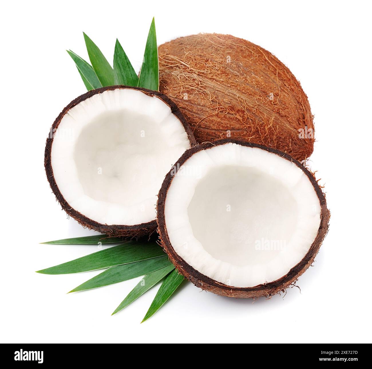 Coco tree Cut Out Stock Images & Pictures - Alamy