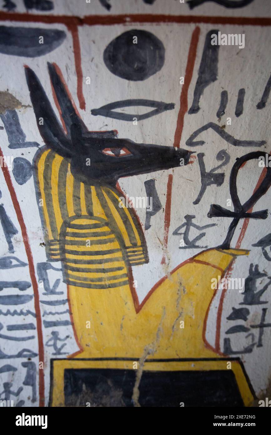 Wall painting of the God Anubis, Tomb of Nebenmaat, TT219,Deir el ...