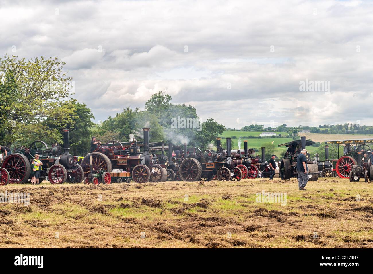 Steam engines lined up at Innishannon Steam Rally 2024, Ireland Stock ...
