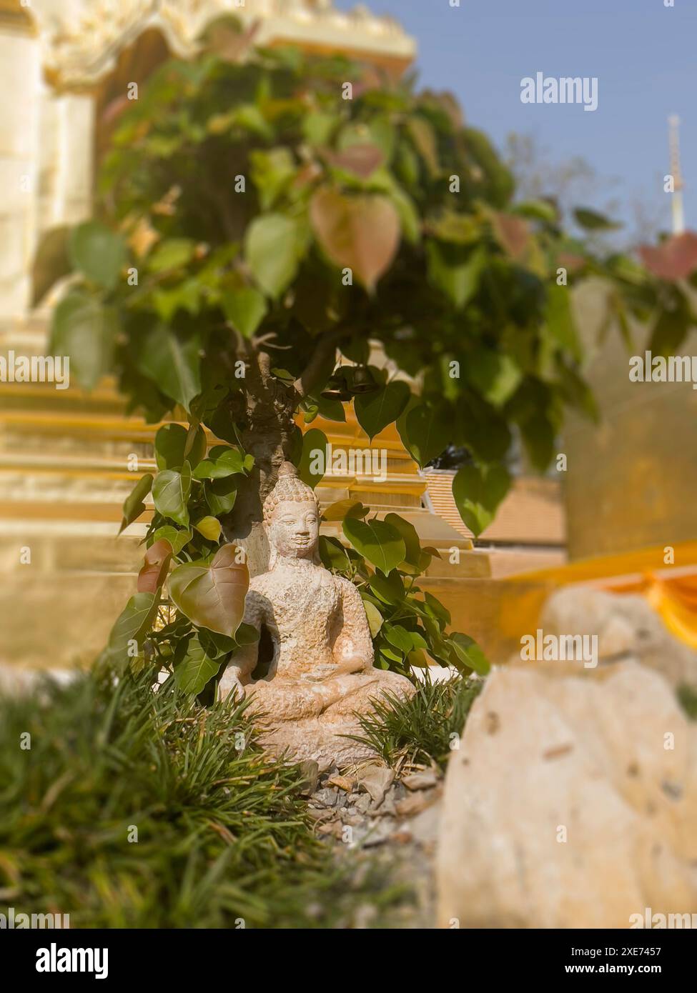 Asian garden ambiance hi-res stock photography and images - Alamy