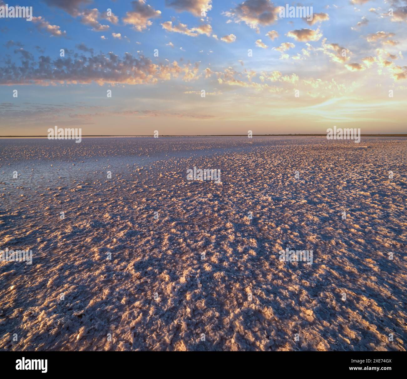 Sunset Genichesk pink salty lake, Ukraine Stock Photo - Alamy