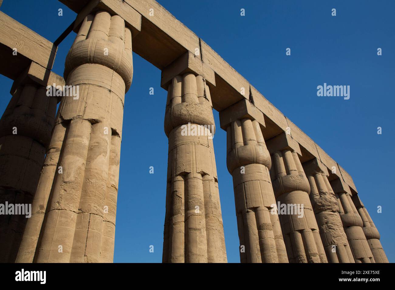Papyrus Columns, Courtyard of Amenhotep III Peristyle Court, Luxor ...